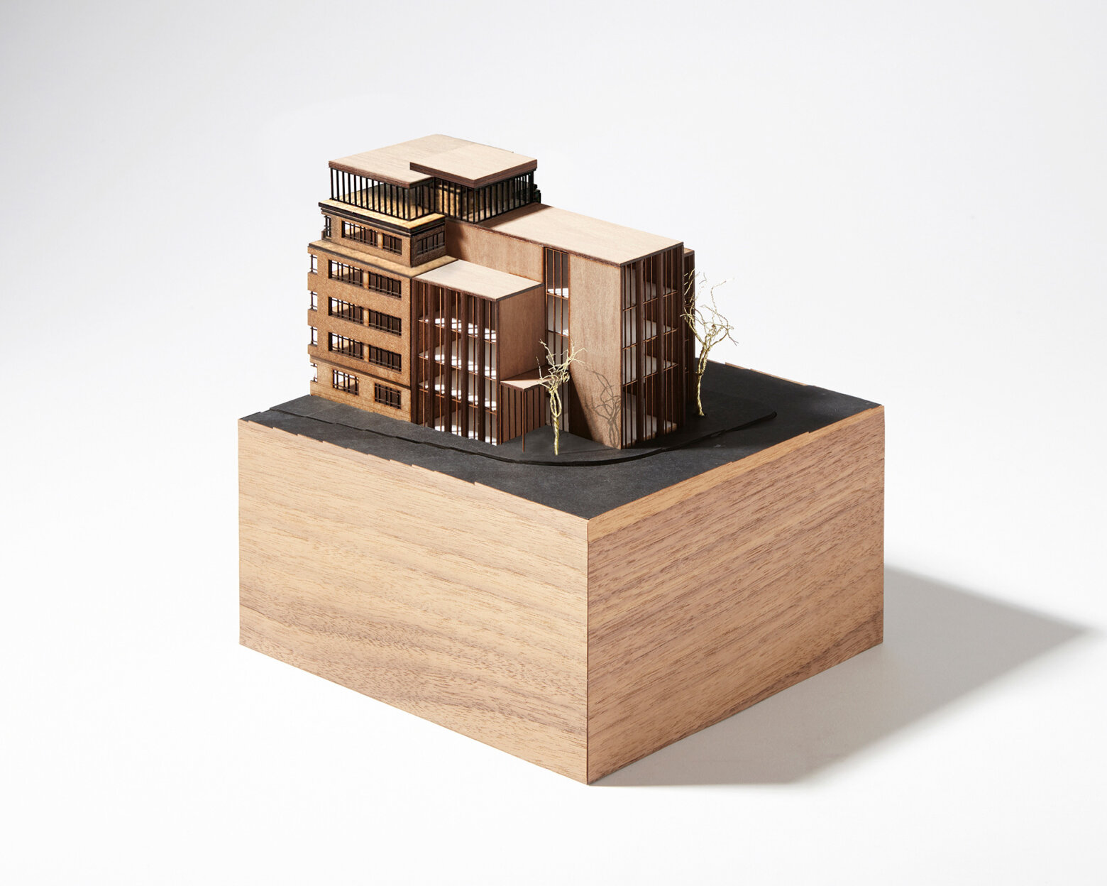 Leroy House - Piercy&Company